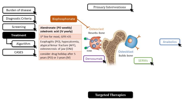 Ready-to-go Teaching Materials for Clinical Medicine
