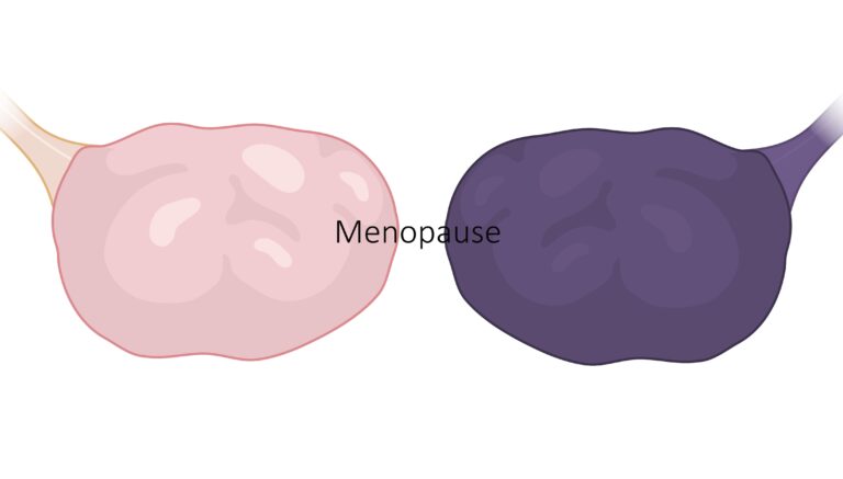 Ready-to-go Teaching Materials for Clinical Medicine