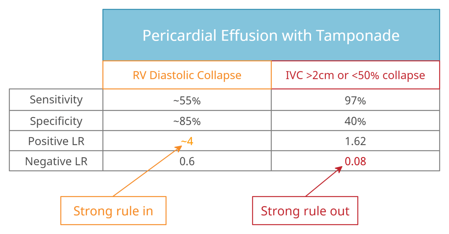 Cardiac Ultrasound Case Conference | POCUS | TeachIM