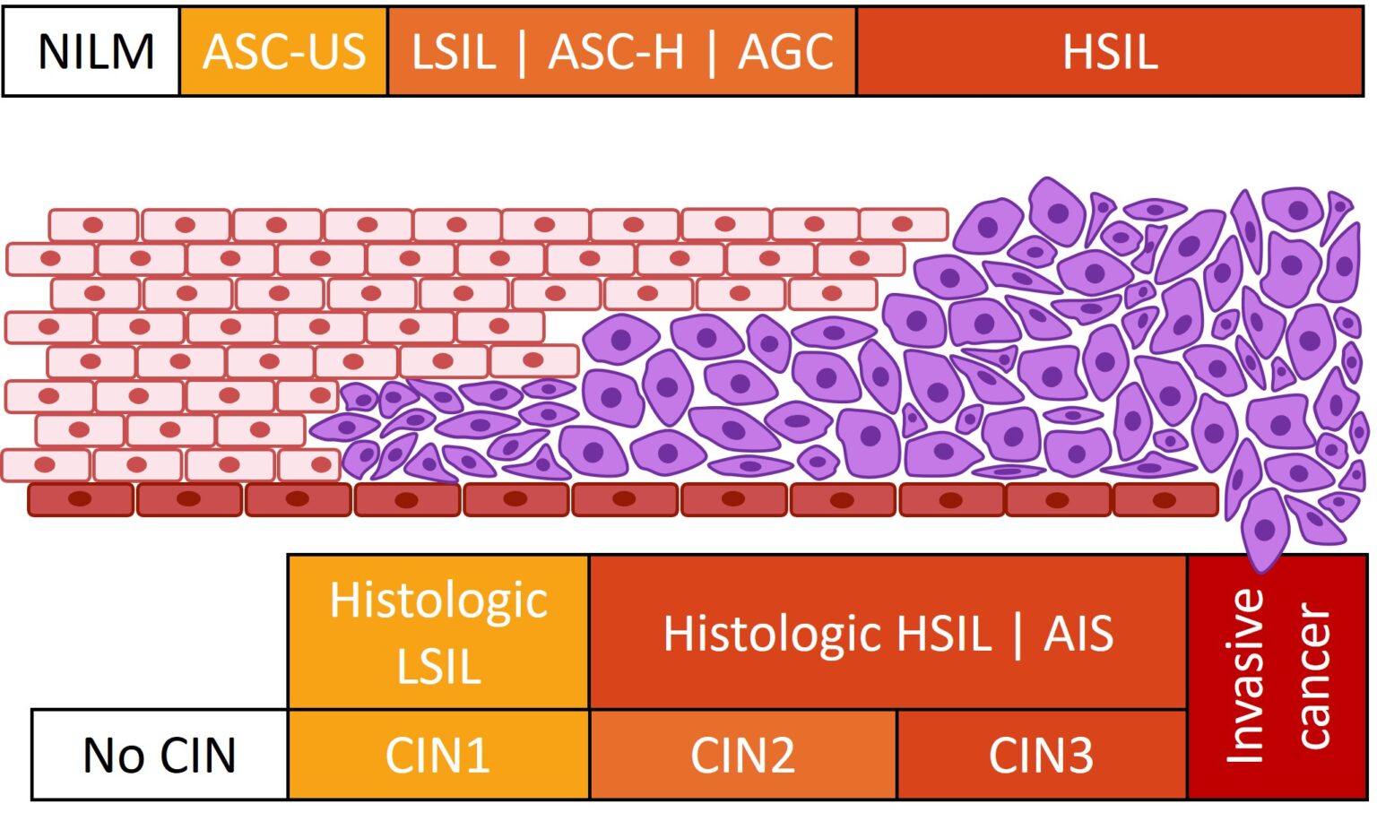 Ready-to-go Teaching Materials for Clinical Medicine