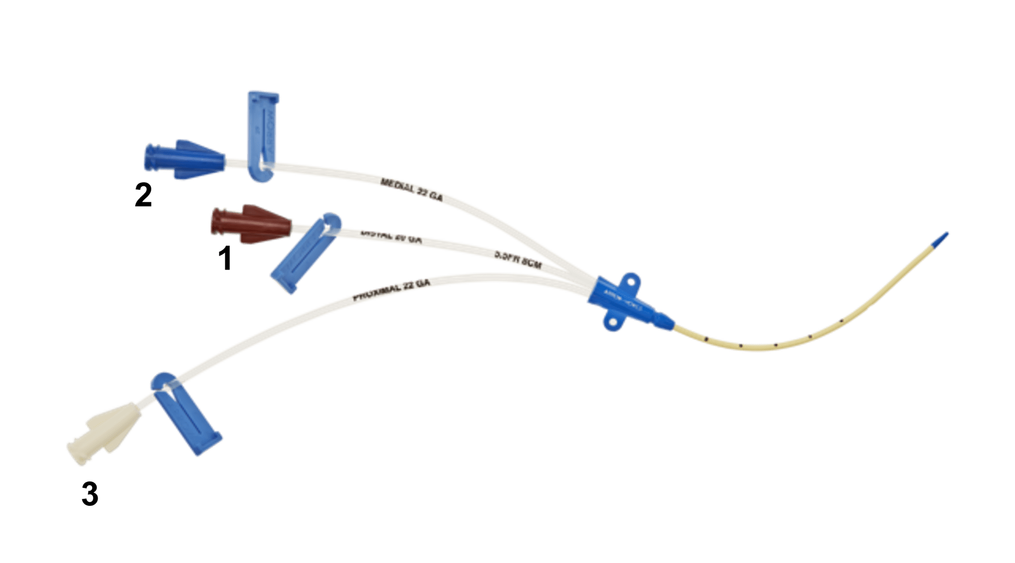 Central Venous Catheter Insertion | Procedures | TeachIM